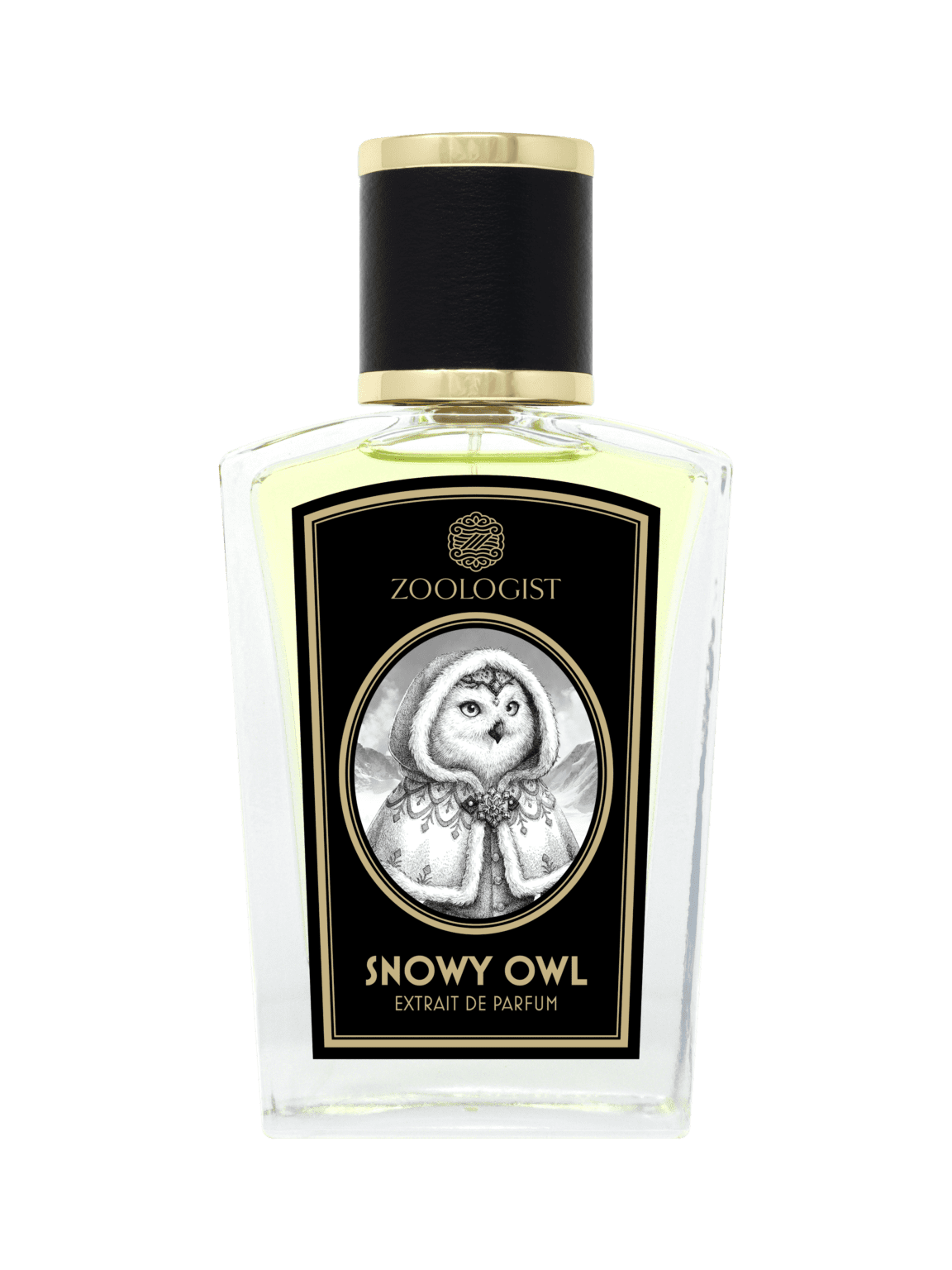 SNOWY OWL | ZOOLOGIST