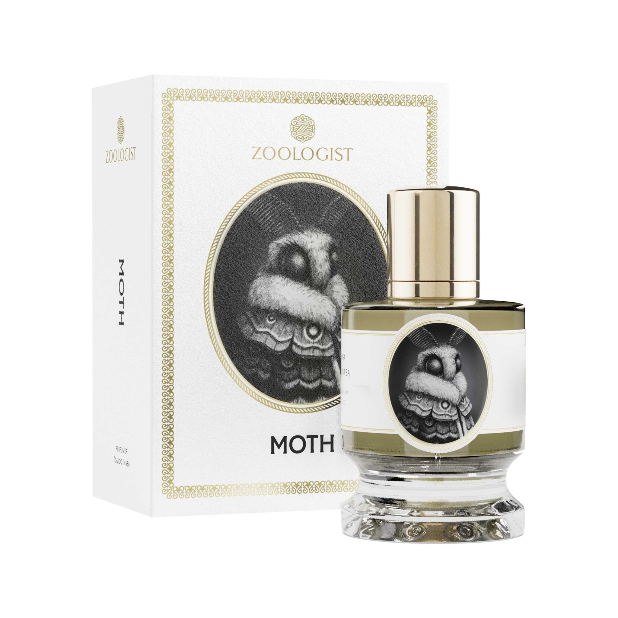 Moth | Zoologist